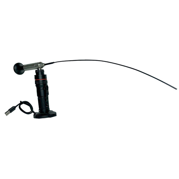Flexible Micro-Endoscope – MDS Vet